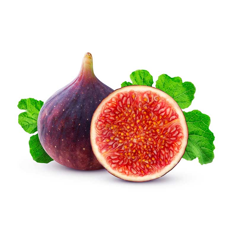 Black Mission Figs – Piscine si accesorii pentru piscina